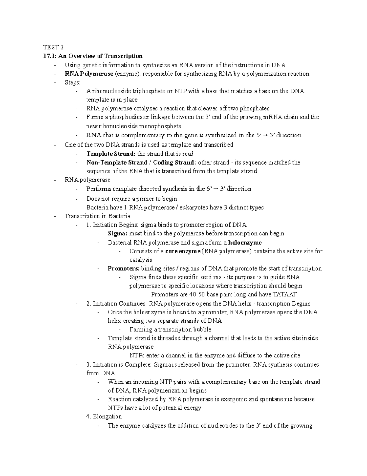 Transcription and Translation - TEST 2 17: An Overview of Transcription ...