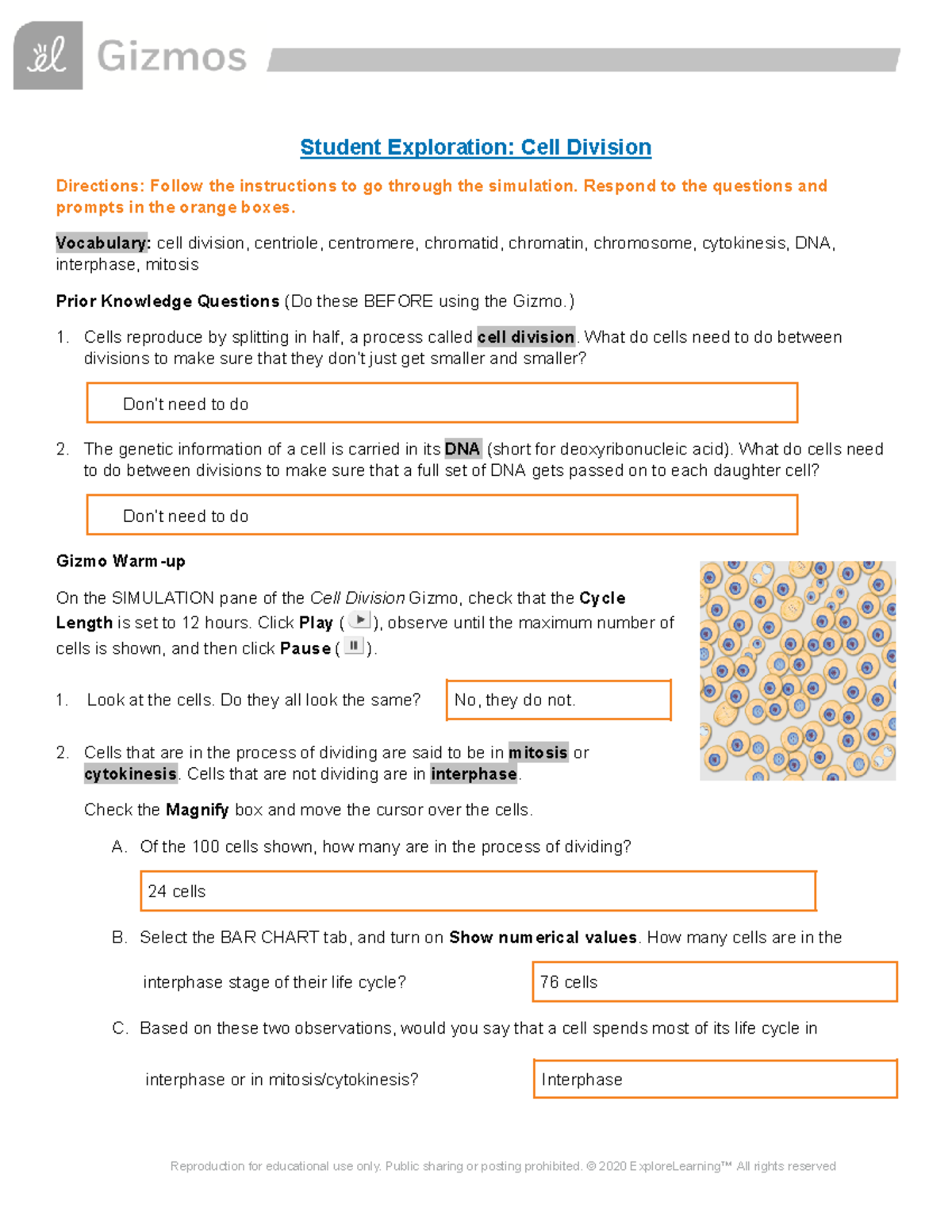 Copy of Cell Division R20-21 - Student Exploration: Cell Division ...