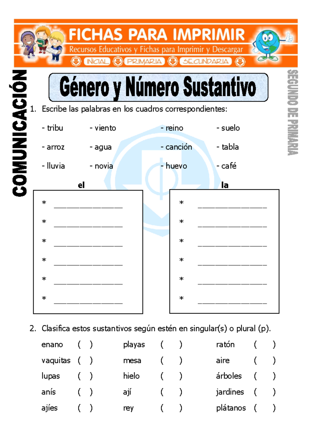 Ficha de Genero y Numero del Sustantivo para Segundo de Primaria - Escribe las palabras en los ...