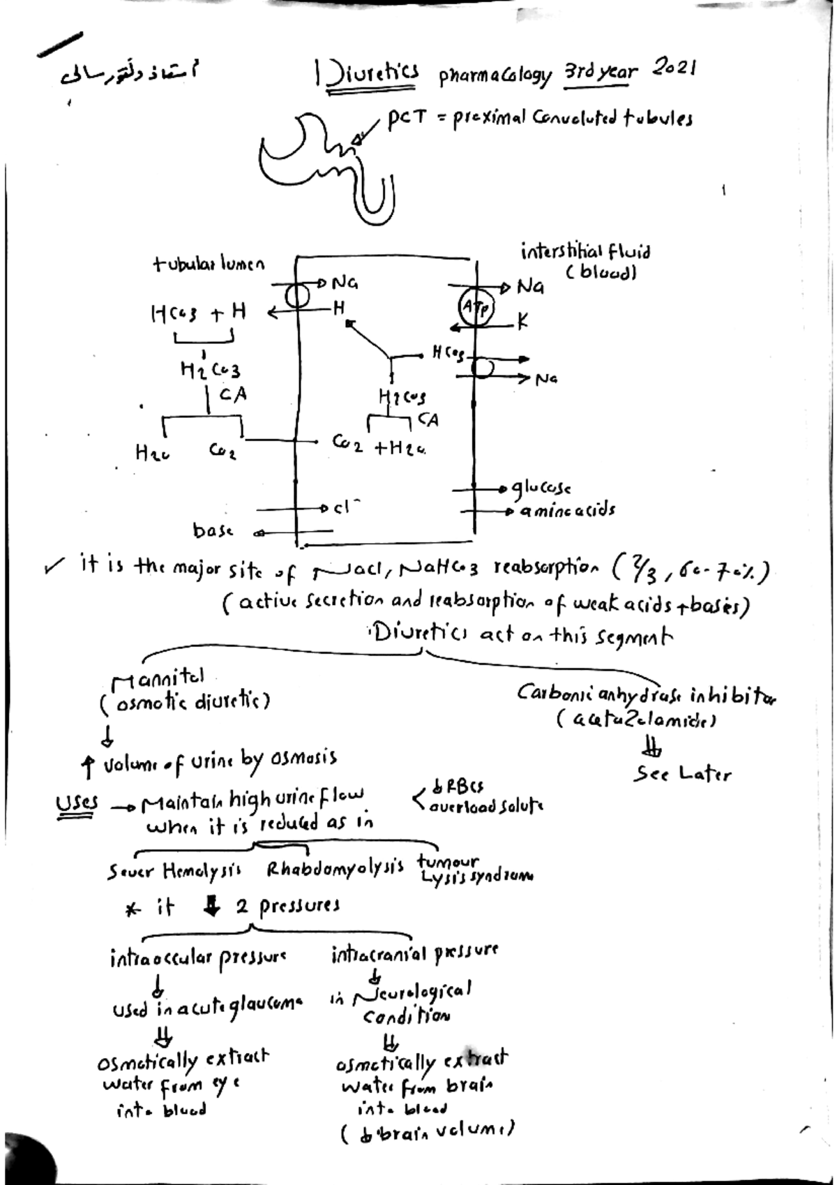 Summary of diuretics - Pharmacology - Studocu