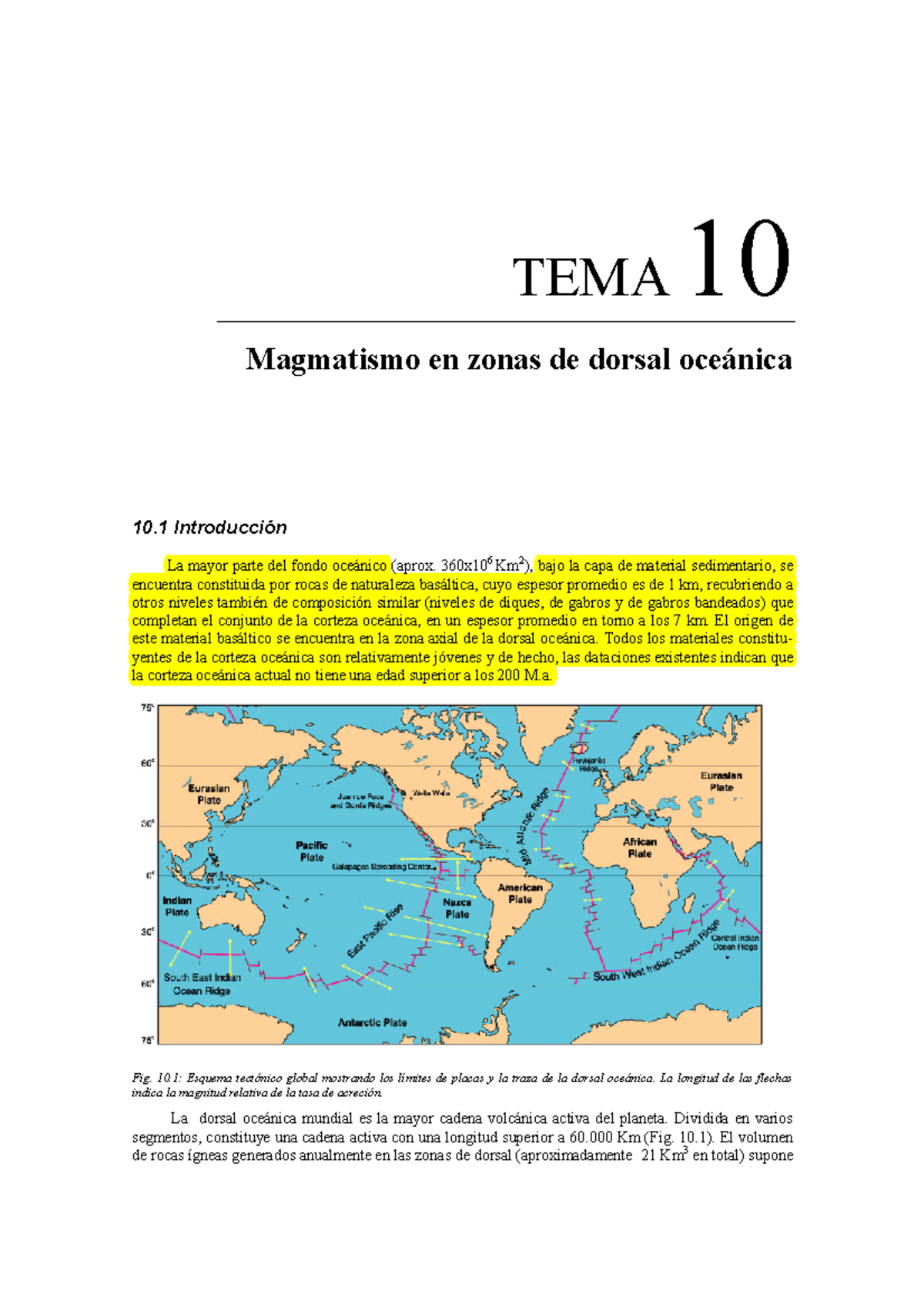Magmatismo Oceanico - TEMA 10 Magmatismo en zonas de dorsal oceánica 10 ...