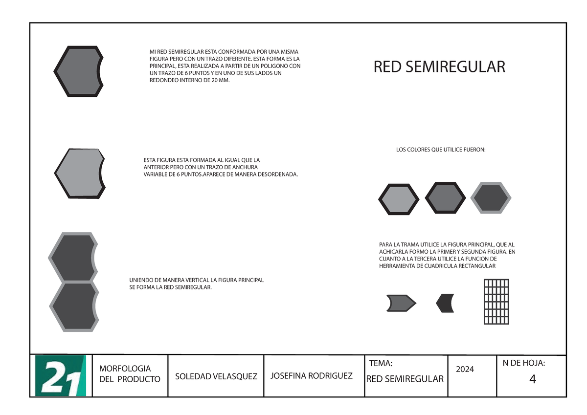 RED SEMI Regular Explicacion 2 - Morfología Del Producto I Soledad ...