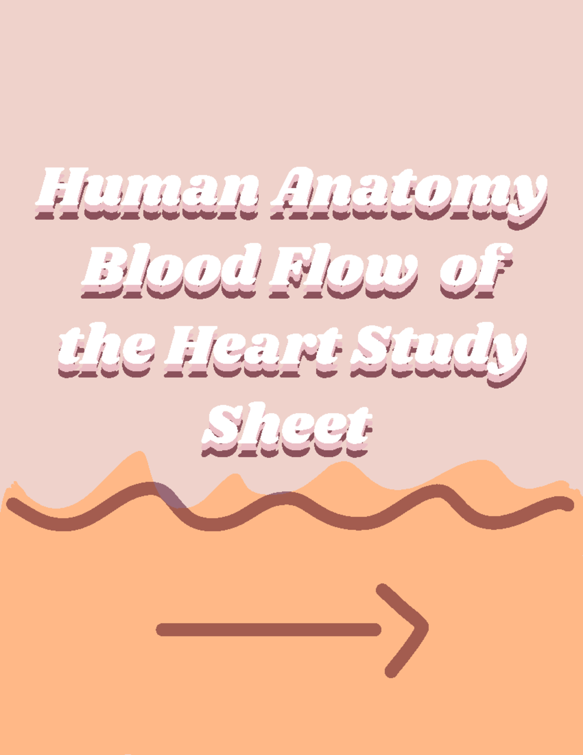 Cardiovascular System: Blood Flow Of The Heart - RSPT-1207 - Studocu