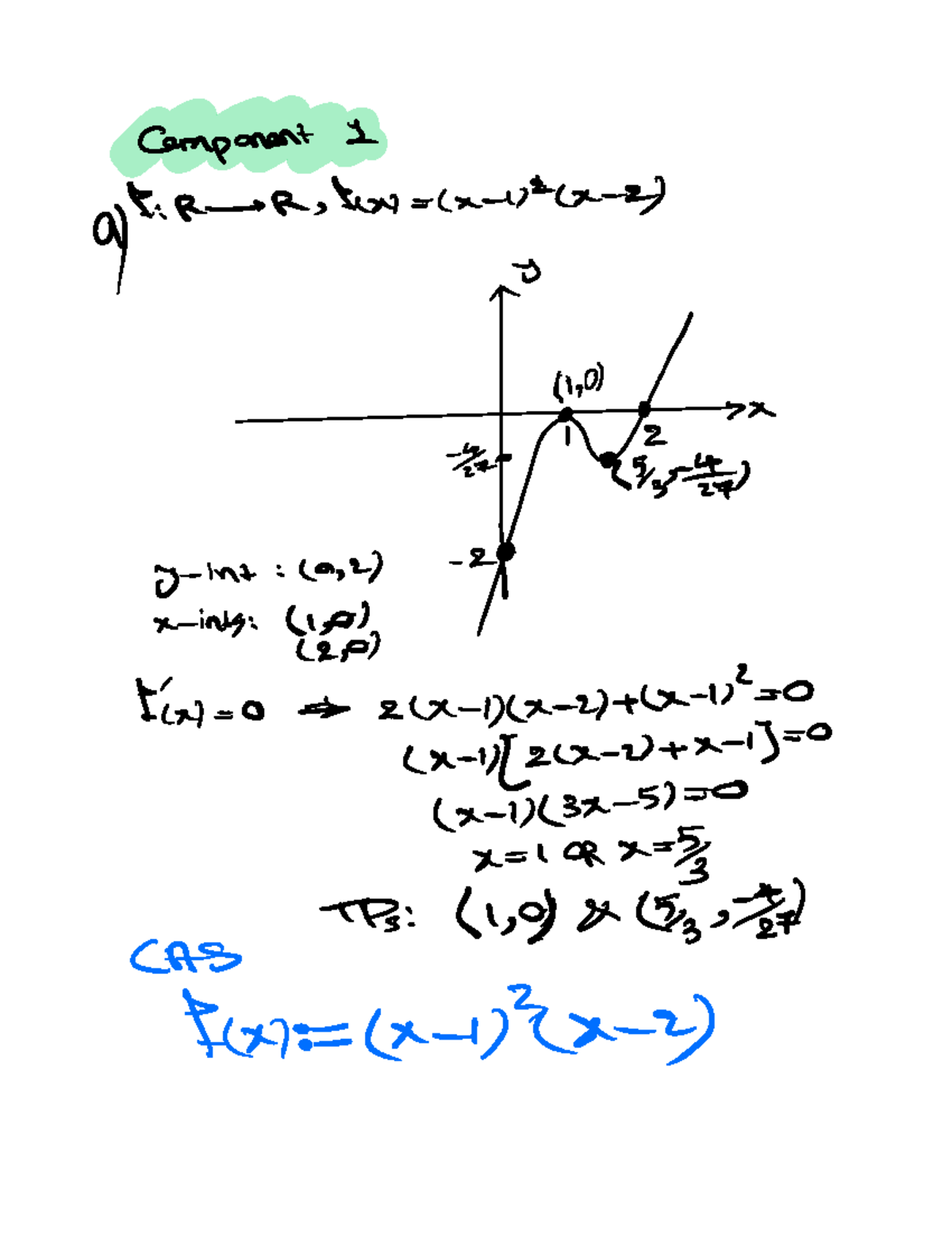 Sample Application Task - investigating some polynomial functions (suggested solutions ...