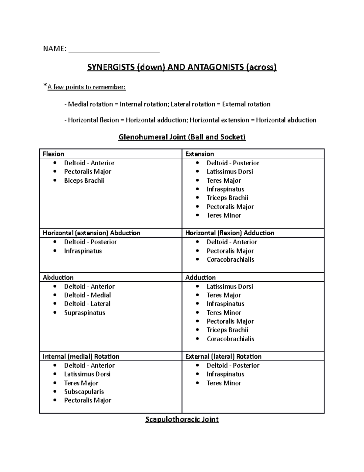 Muscle synergists and antagonists chart filled in - NAME ...