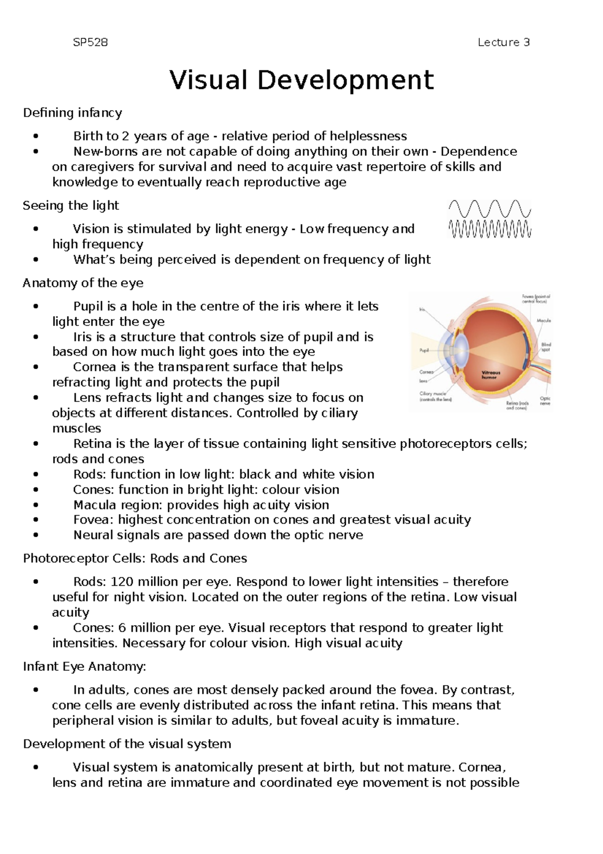 Lecture 3 - Visual Development - Visual Development Defining infancy ...