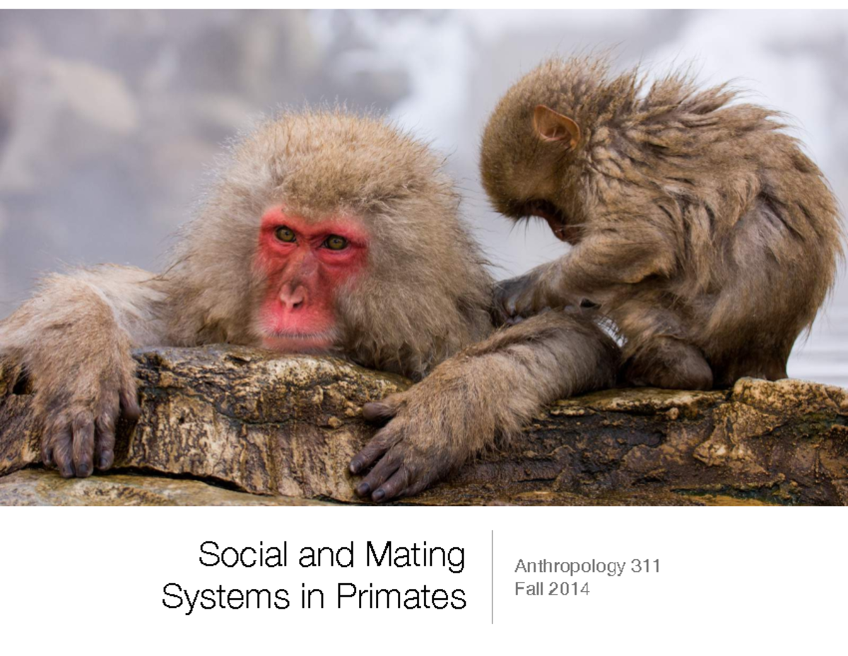Lecture notes, lecture 8 - Social and Mating Systems - Social and ...
