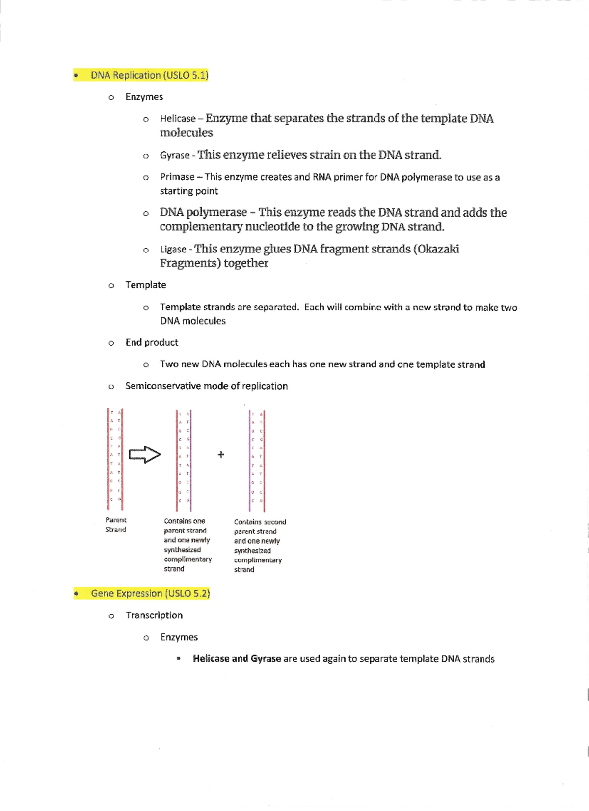 UNIT 5 Micros - Unit 5 enrichment notes - BIO 2100 - Studocu