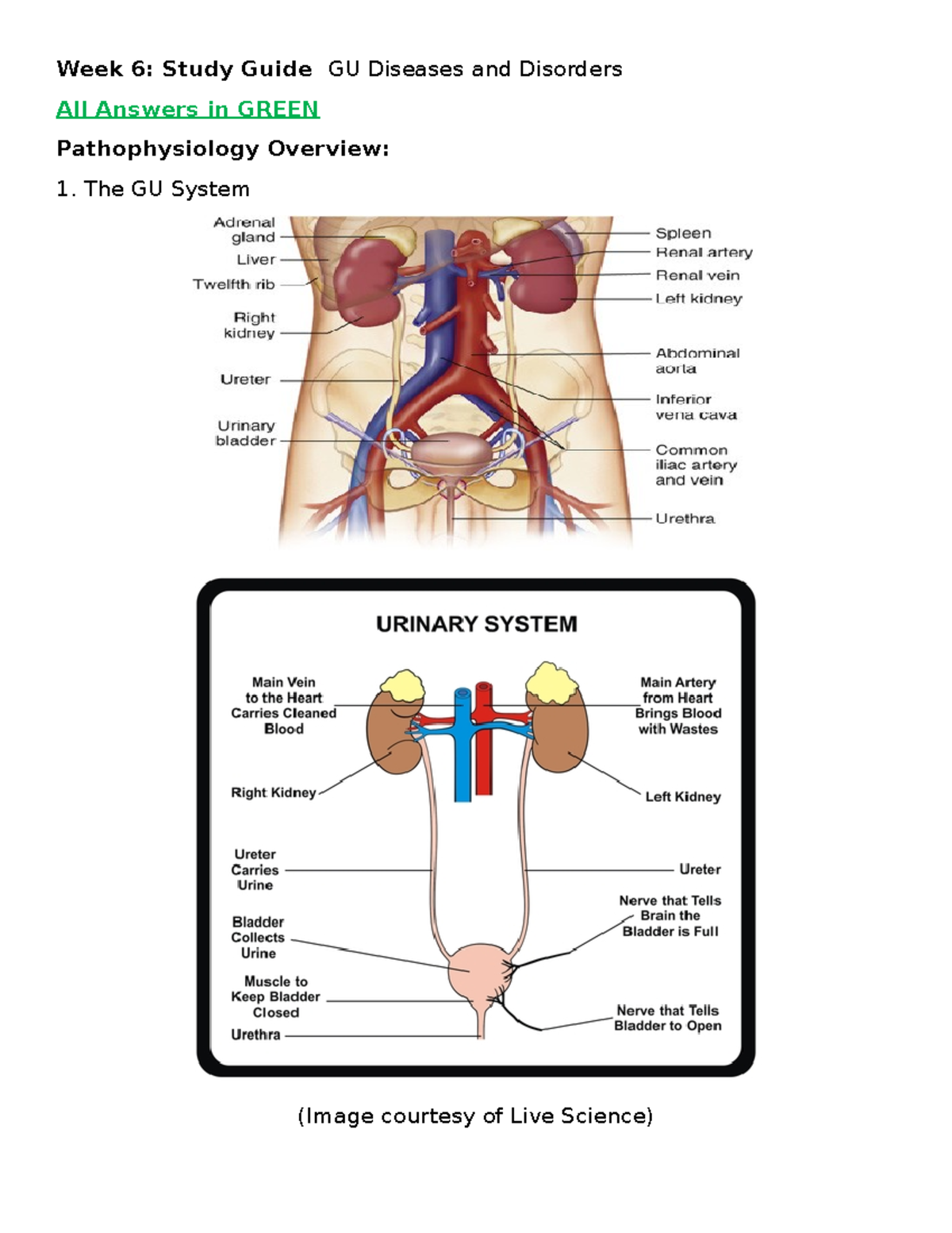 Week 6 GU SG - MS I Week 6 GU SG - Week 6: Study Guide GU Diseases and Disorders All Answers in ...