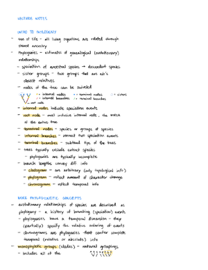 [Solved] What stage of the fungal life cycle are the fuzzy growths Why ...