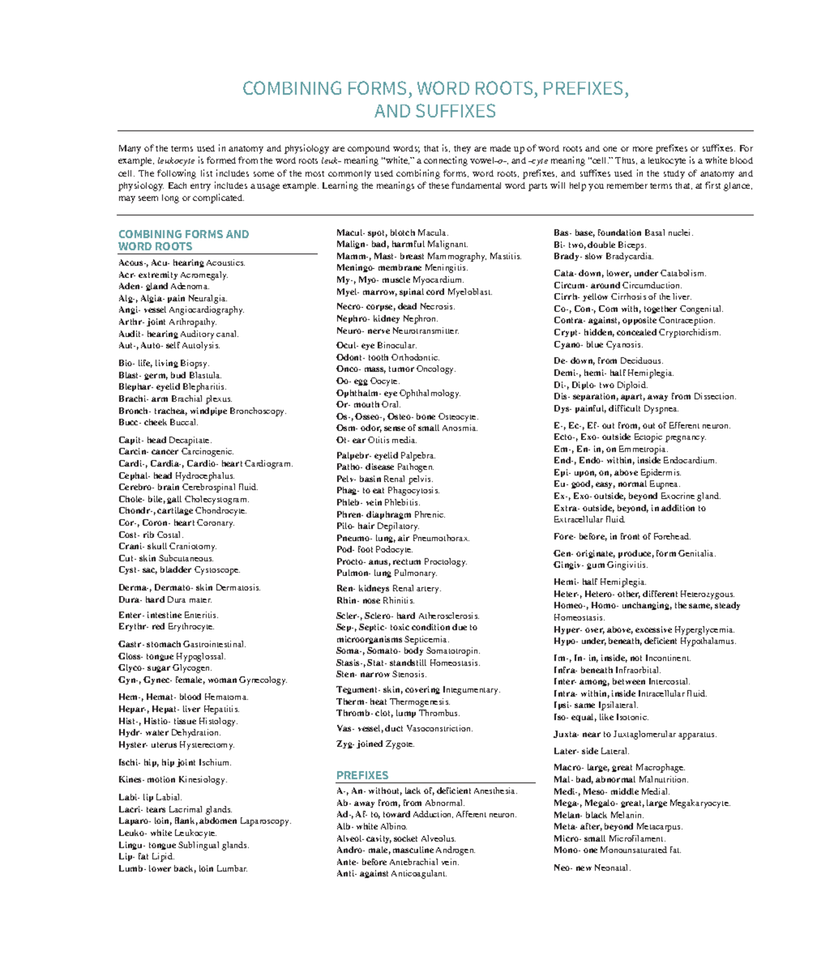 Greek and Latin Word Roots for A&P - COMBINING FORMS, WORD ROOTS ...