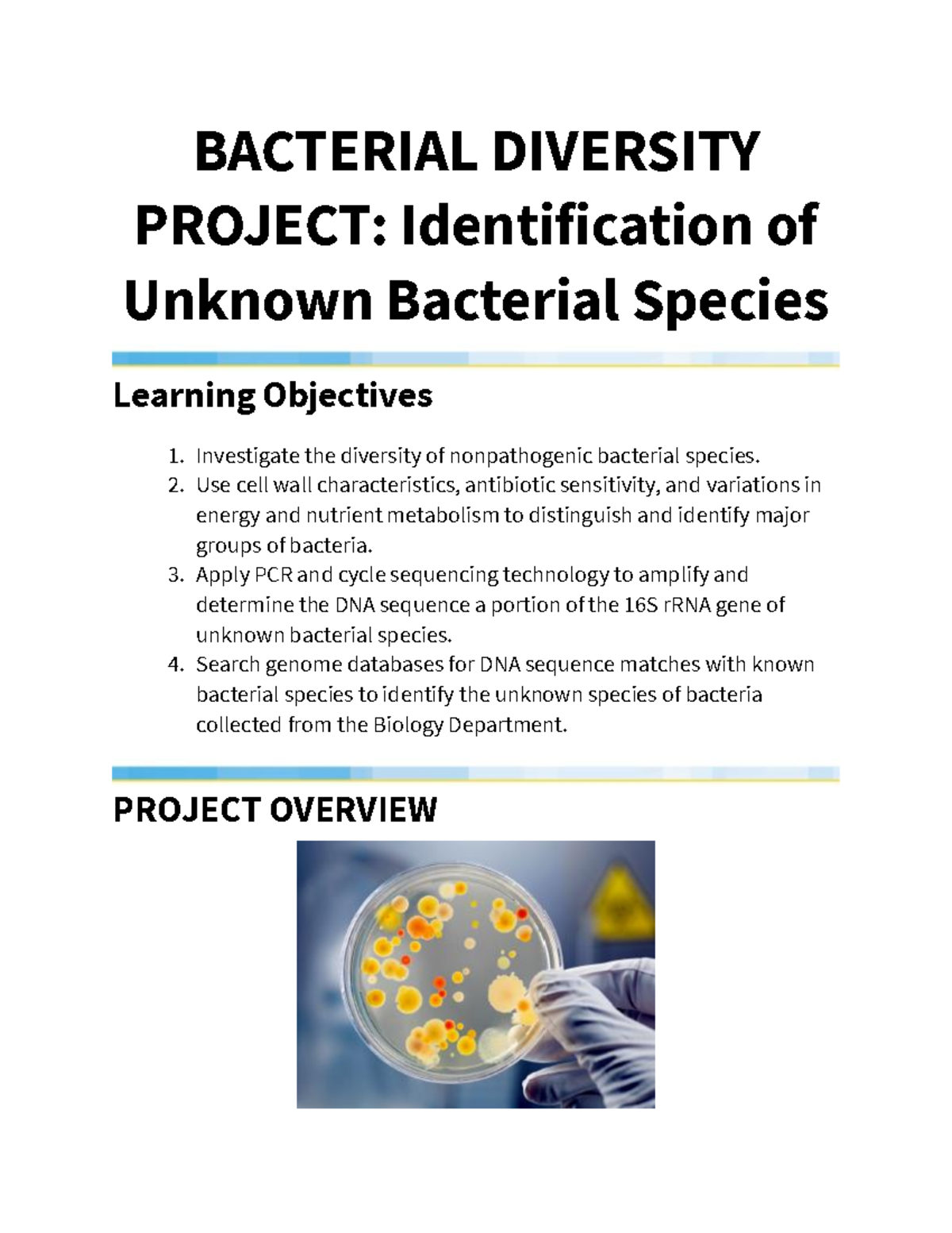 Bacteria Overview - .... - BACTERIAL DIVERSITY PROJECT: Identification ...