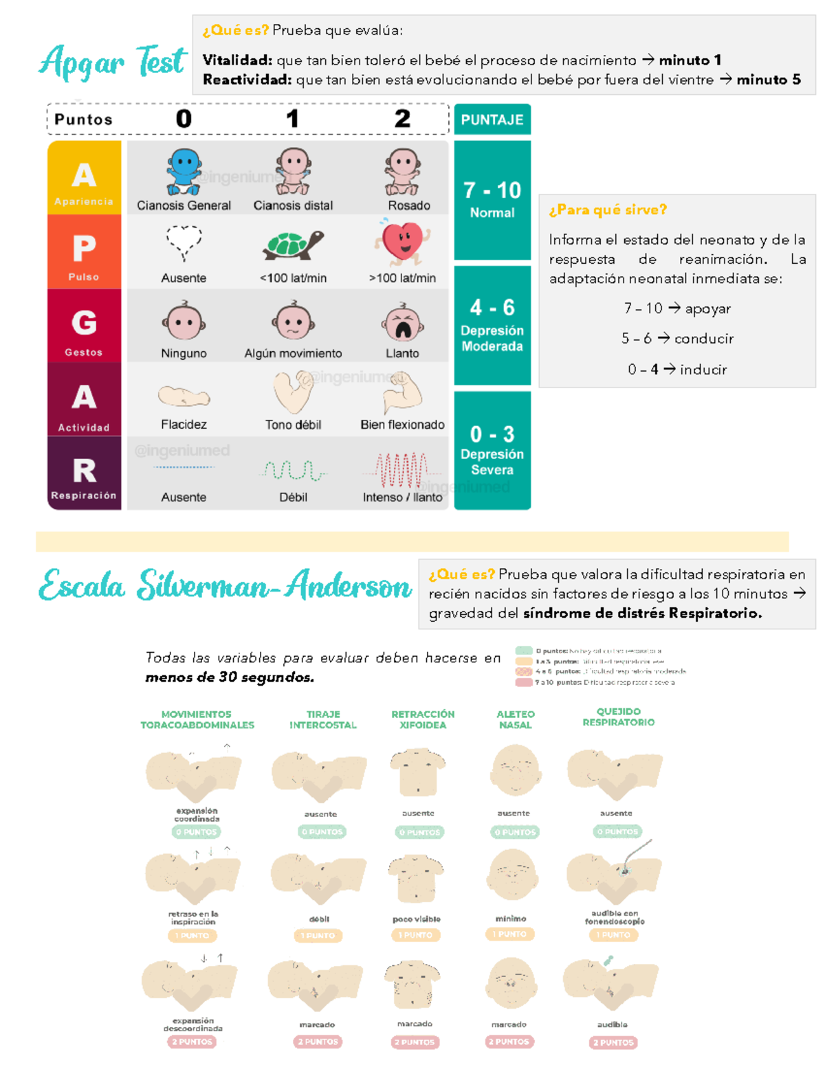Apgar, Silverman, Ballard - Apgar Test Escala Silverman-Anderson ¿Qué ...