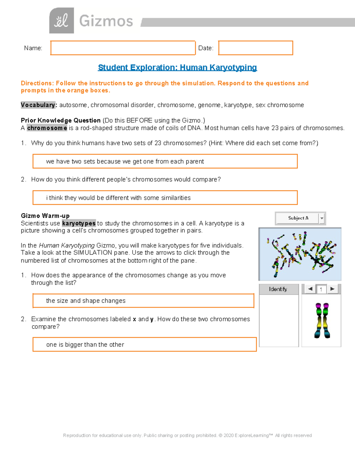 Copy of Copy of Human Karyotyping SE - Name: Date: Student Exploration ...
