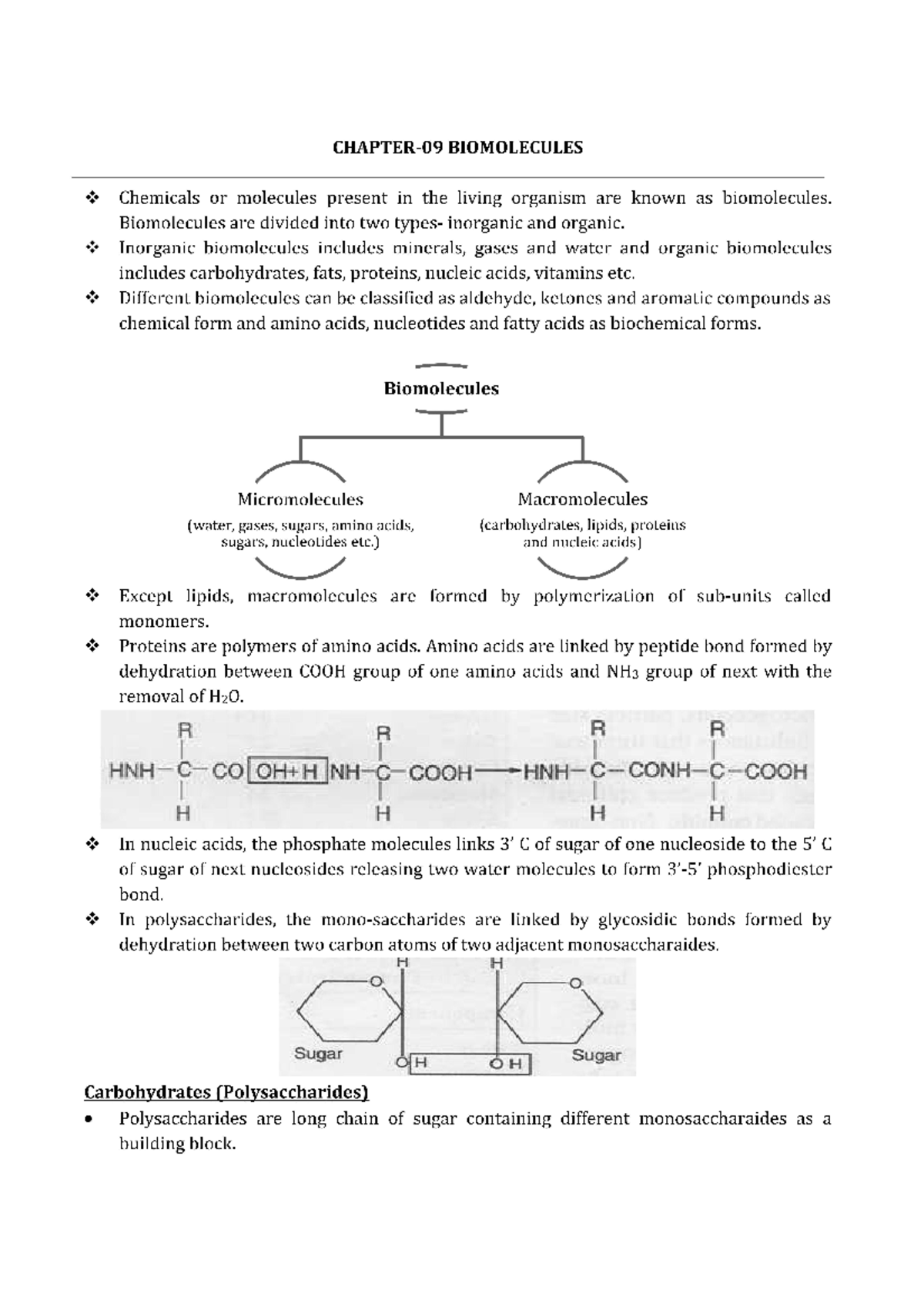 New Folder - Quick revision notes of biomolecules - Biology - Studocu