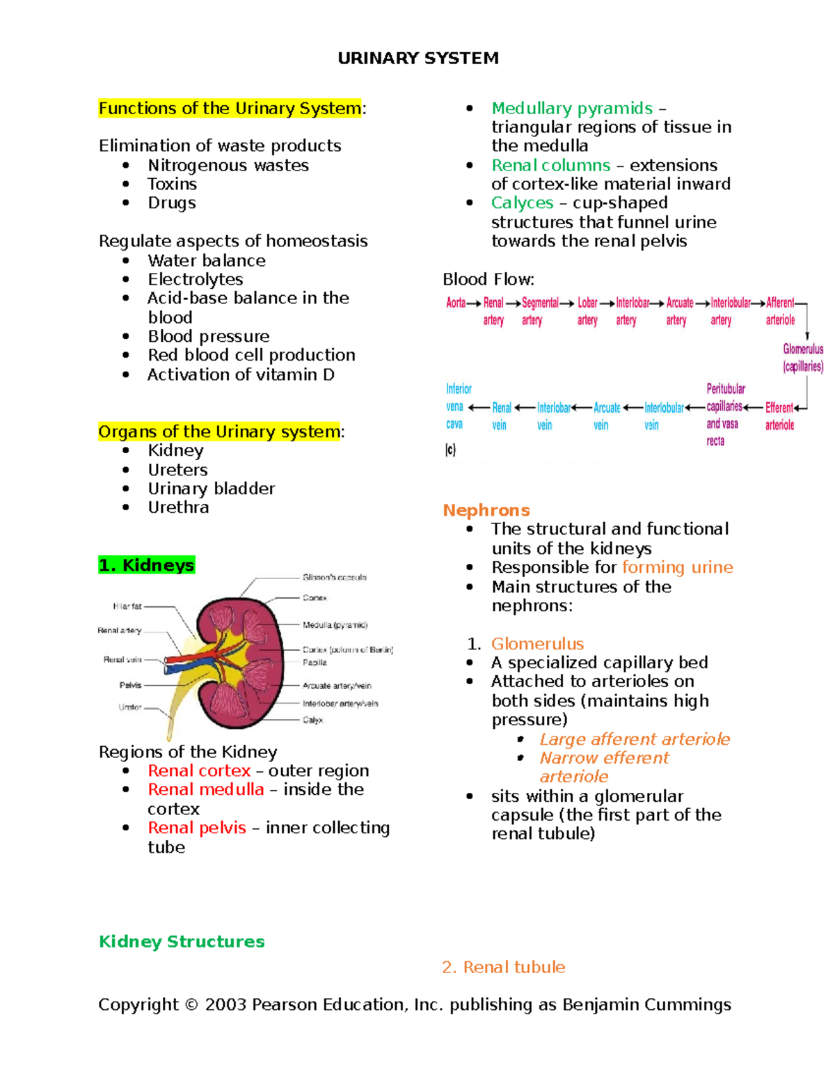 Urinary System - Lecture notes all pages - URINARY SYSTEM Functions of ...
