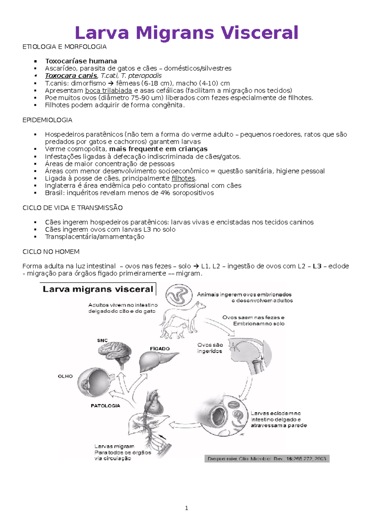 6 - Larva Migrans Visceral - Larva Migrans Visceral ETIOLOGIA E ...