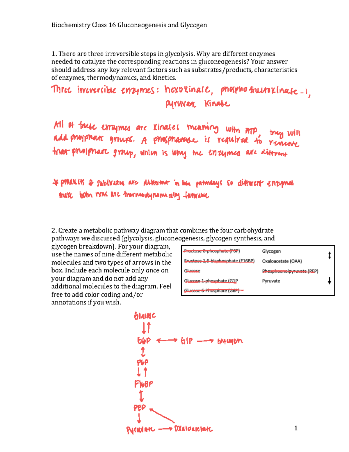 Biochem Assn 3-28 - In Class Work Tifft - Biochemistry Class 16 ...