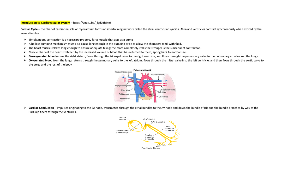 Cardiovascular-Resource-Unit - Introduction to Cardiovascular System ...