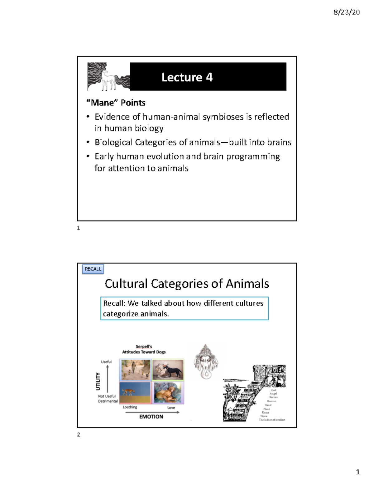 Lecture 04 Biological categories of animals - Lecture 4 “Mane” Points ...