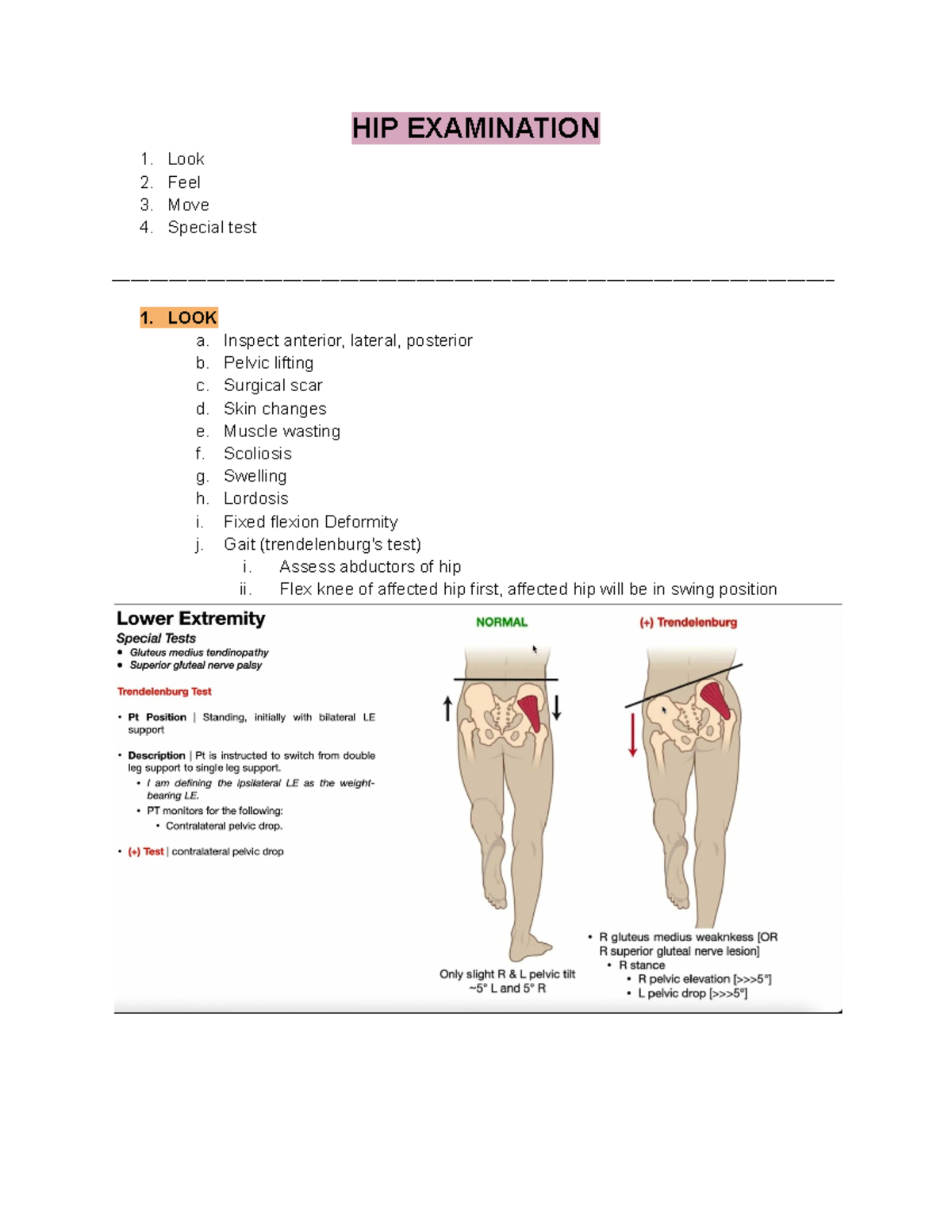 HIP Examination - HIP EXAMINATION 1. Look 2. Feel 3. Move 4. Special ...
