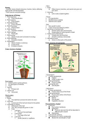 Trans 6 - Frog Organogenesis - BS Bio - Studocu