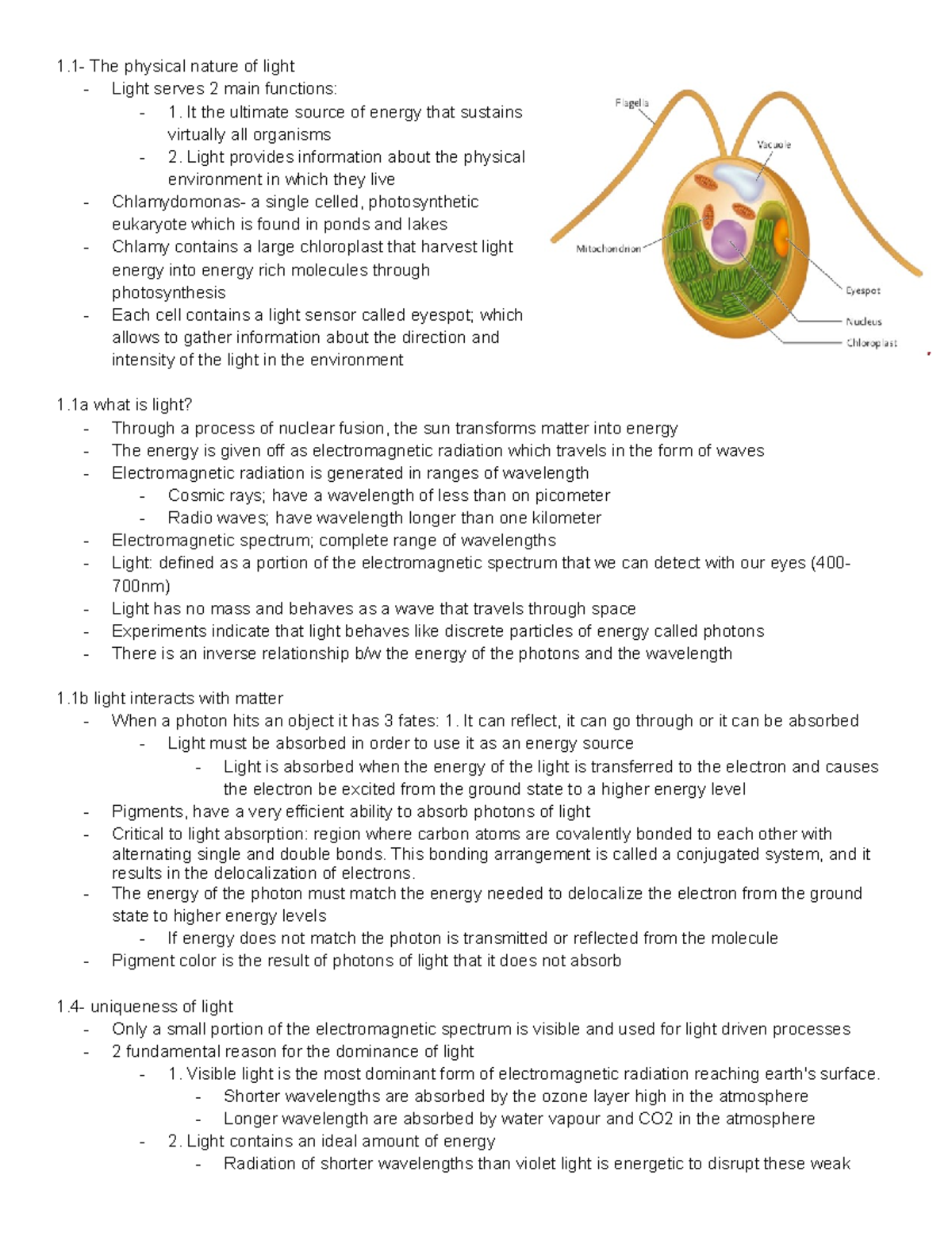 Bio cycle 1 trapping light for energy & information - 1- The physical ...