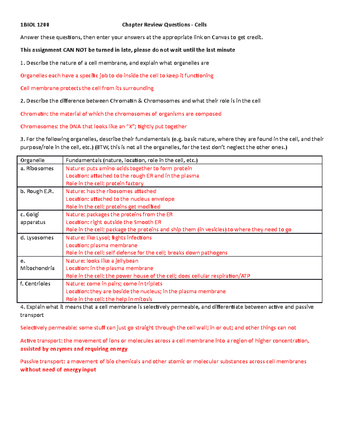 1200 Review Questions - Cells - 1BIOL 1200 Chapter Review Questions ...
