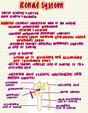 An Overview on the Role of Relative Humidity in Airborne Transmission ...