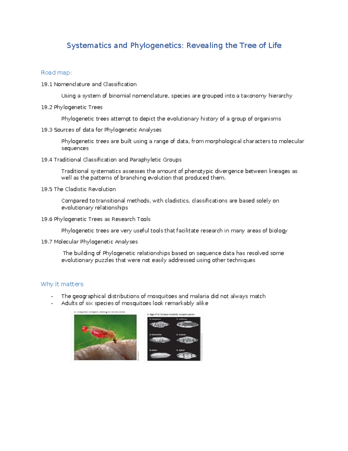 Bio Lecture 4 - Systematics and Phylogenetics: Revealing the Tree of ...