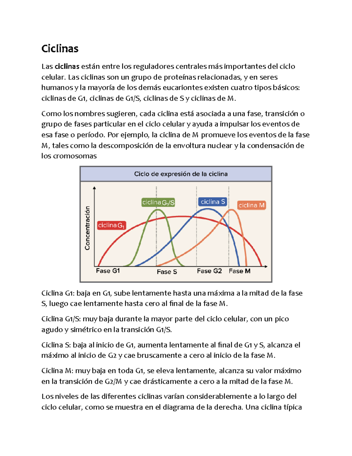 Control Celular - Notas de lectura para estudiar - Ciclinas Las ciclinas están entre los ...