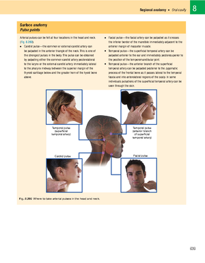 Anatomical position of the head and major landmarks - 450 Head and Neck ...