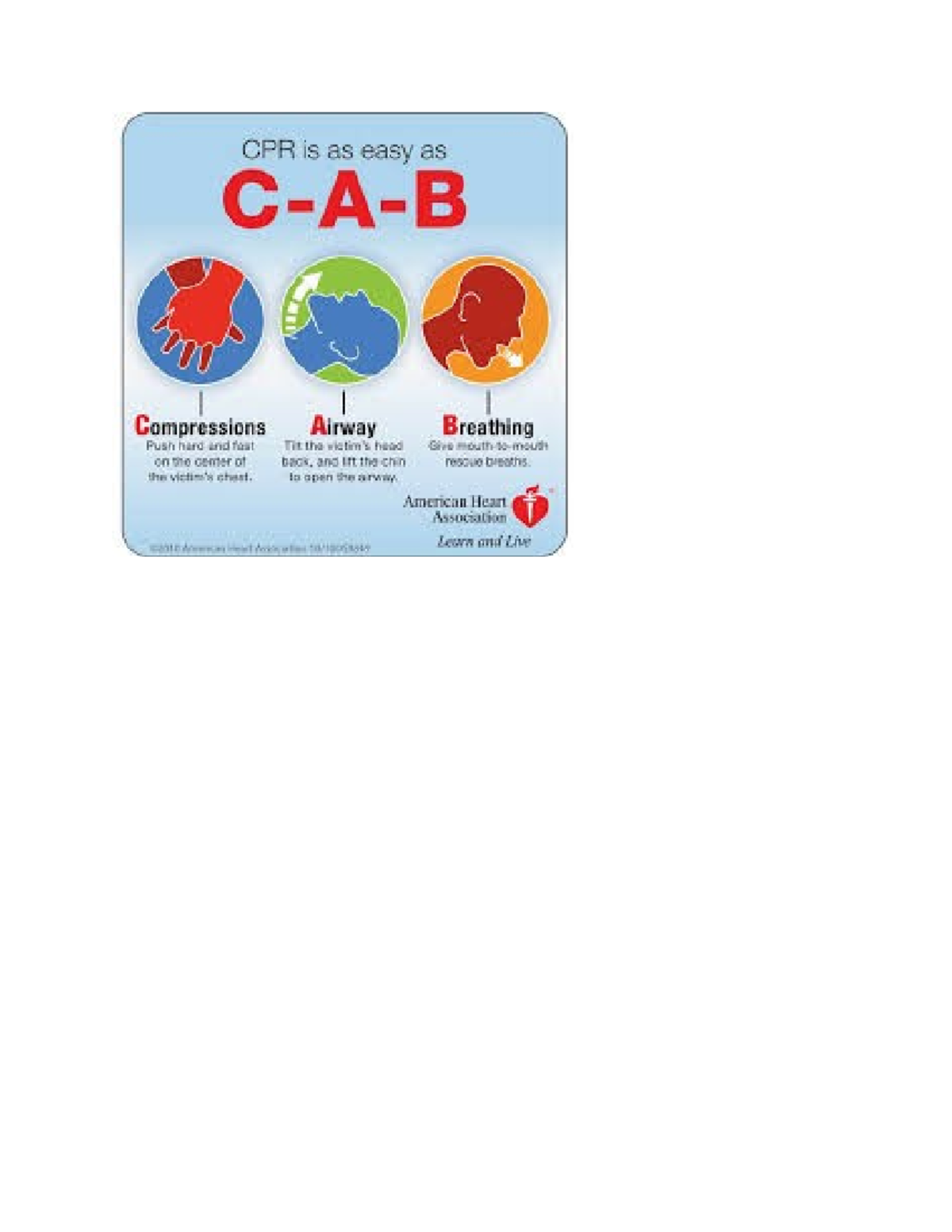 CPR Techniques and Guidelines - AHA Certification Guide - BIO 189 - CPR ...