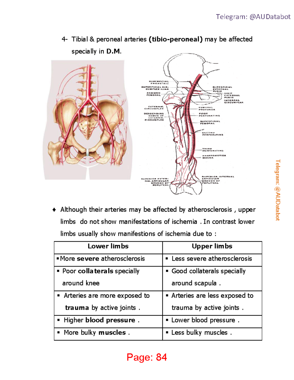 General surgery lecure notes part five - 4- Tibial & peroneal arteries ...