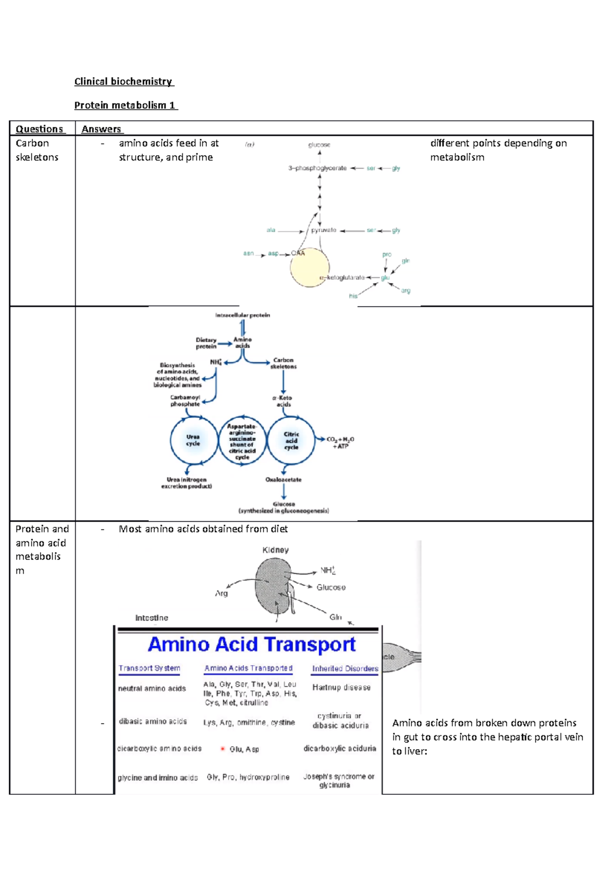 Protein metabolism 1 - Lecture notes 1 - Clinical biochemistry Protein ...