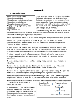 COPM-PDF (1) - COPM para pediatria - MEDIDA CANADENSE DE DESEMPENHO ...