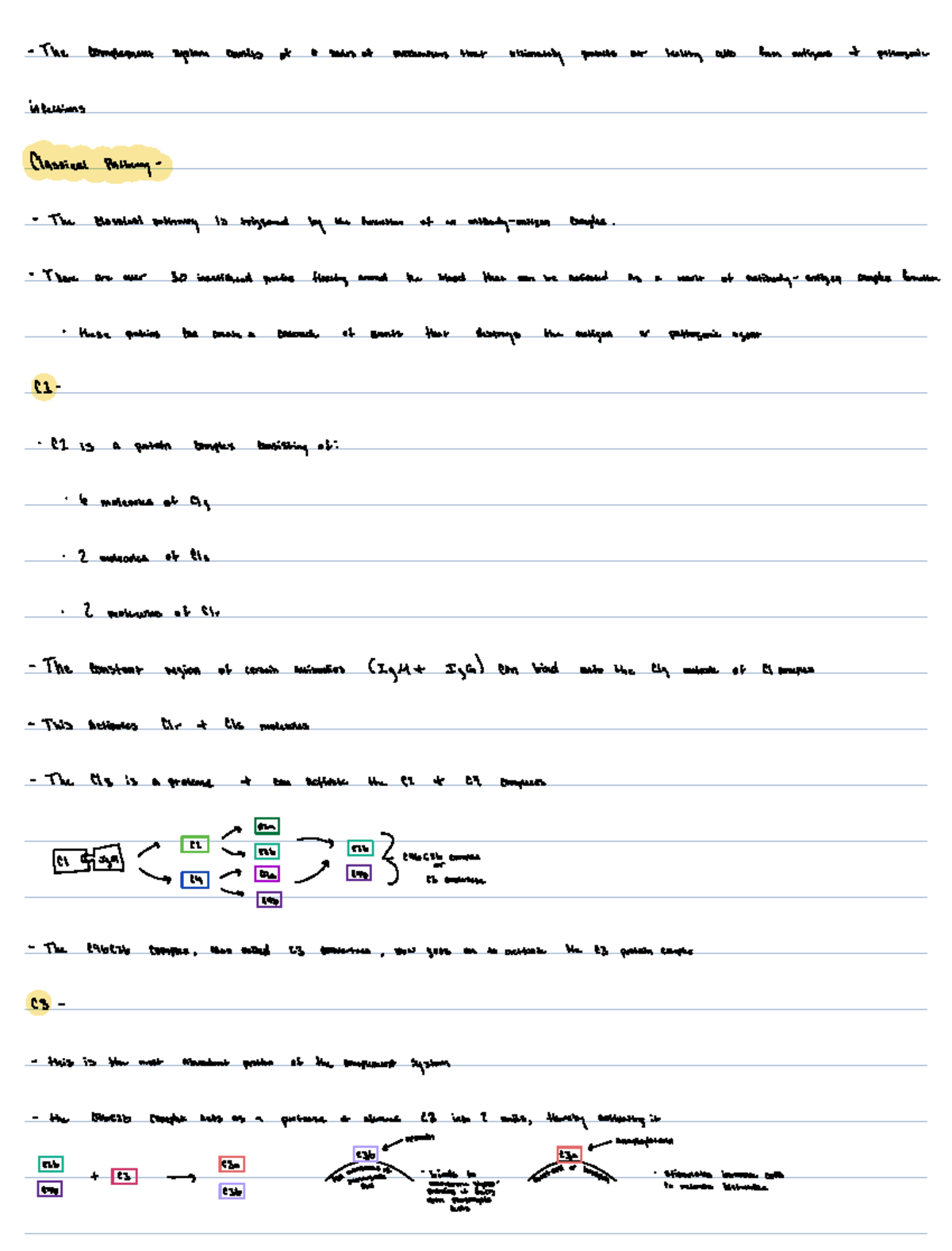 The complement system - immunology - The complement system consits of a ...