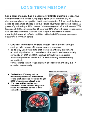 Strengths AND Limitations OF THE MSM - STRENGTHS AND LIMITATIONS OF THE ...
