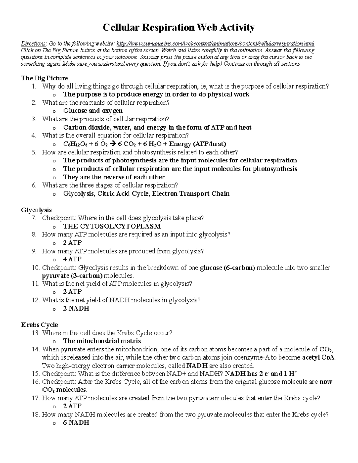 Cellular Respiration Web Activity - Cellular Respiration Web Activity ...