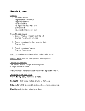 Period 3 Unit 7: Muscular System Success Criteria Review (Study Guide ...