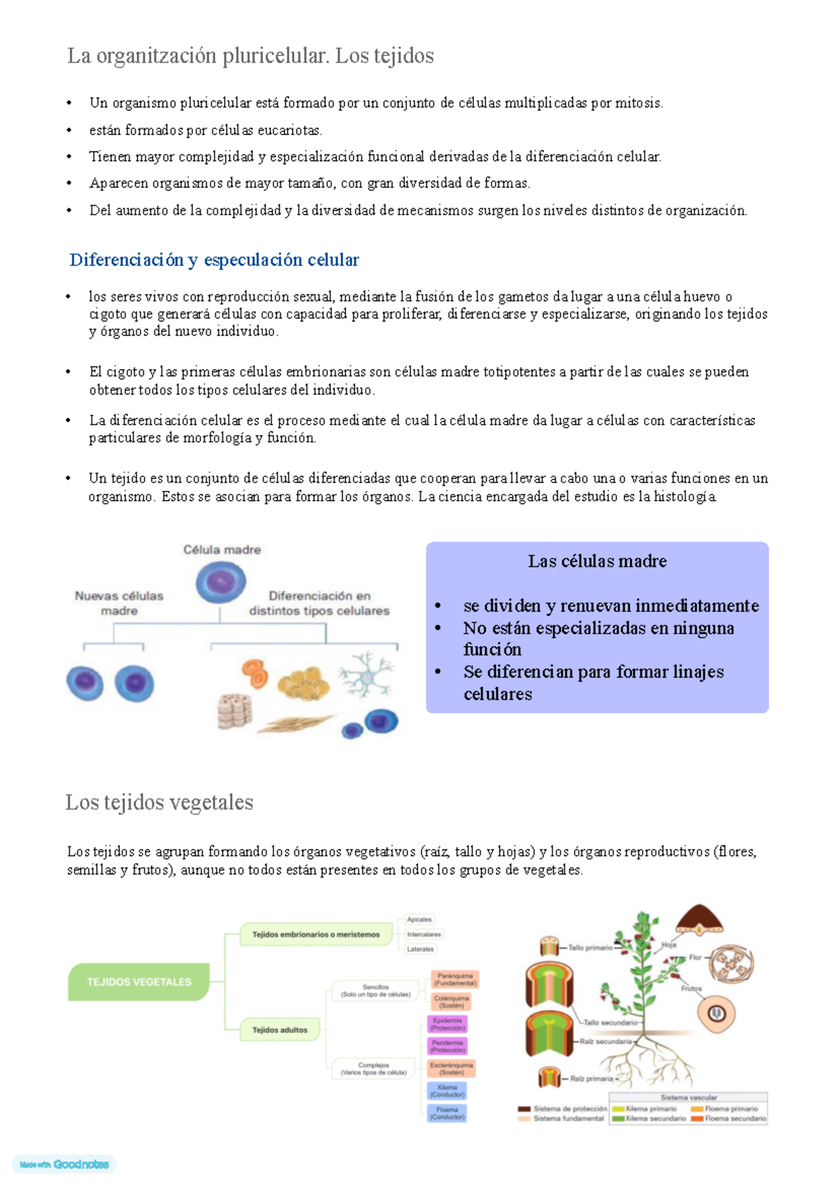Biología tema 5 - Apuntes Biología Tema: Los tejidos animales y ...
