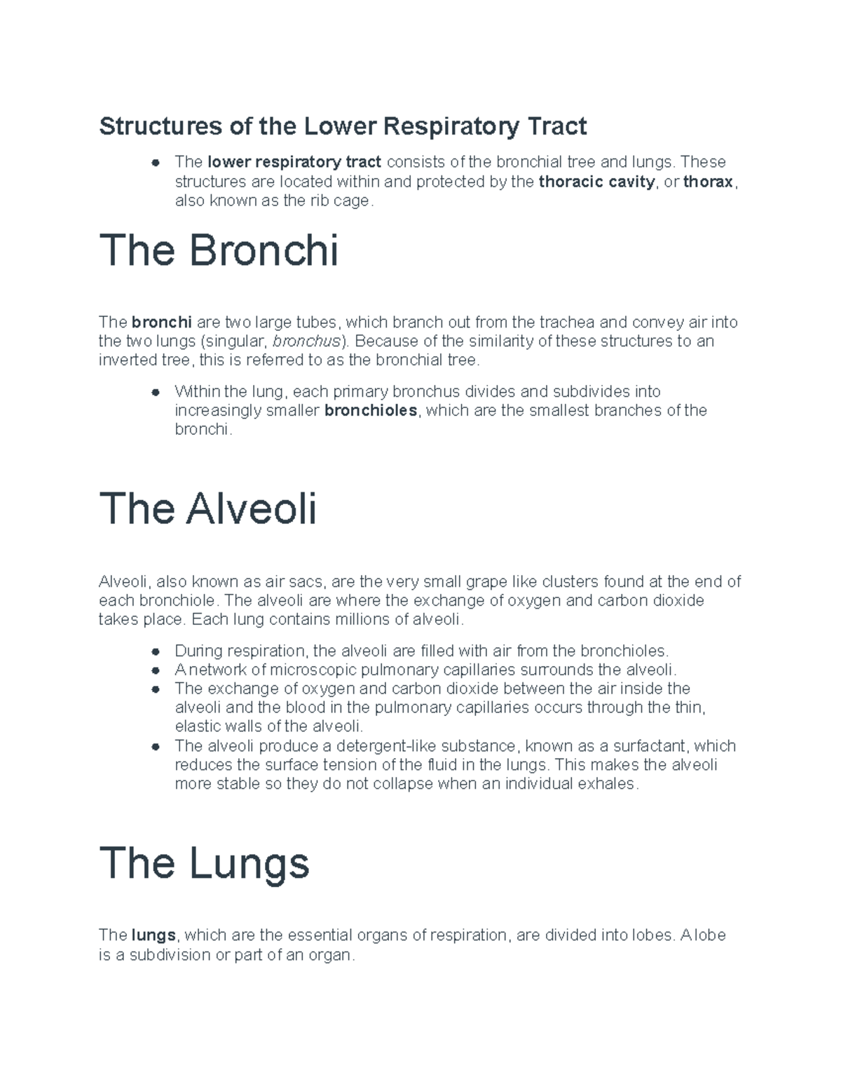 Structures of the Lower Respiratory Tract - These structures are ...
