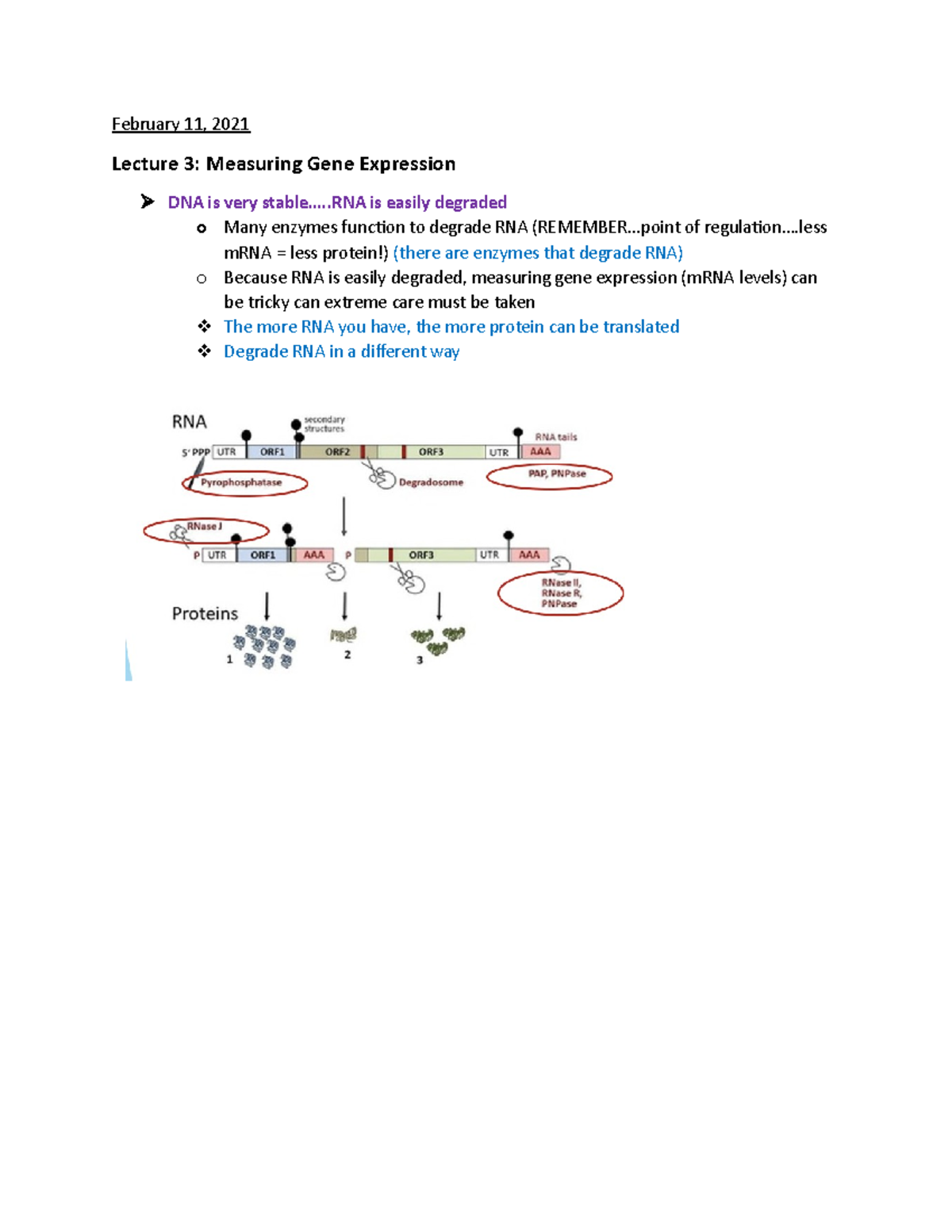 Lecture 3- Measuring Gene Expression - February 11, 2021 Lecture 3 ...