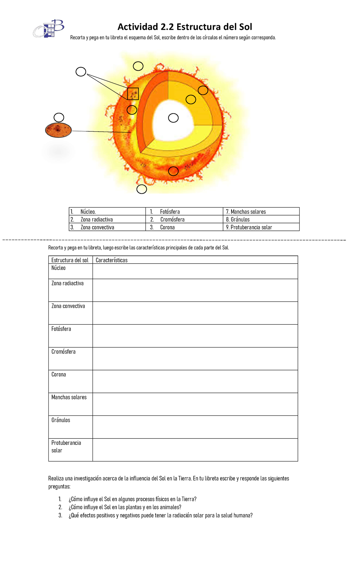 Act. 2.2 Estructura del Sol - Actividad 2 Estructura del Sol Recorta y ...