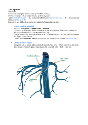 Organi cavi e pieni e regioni del corpo; termini anatomici - 1 LEZIONE ...