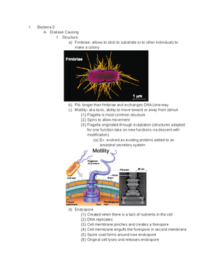 Bacteria Concept Map - Bacteria cocci bacilli spirals Nomenclature ...