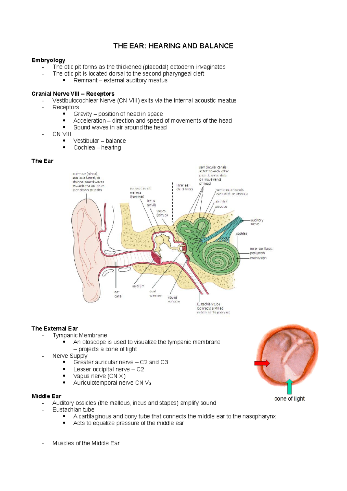 The Ear, Hearing and Balance - THE EAR: HEARING AND BALANCE Embryology ...