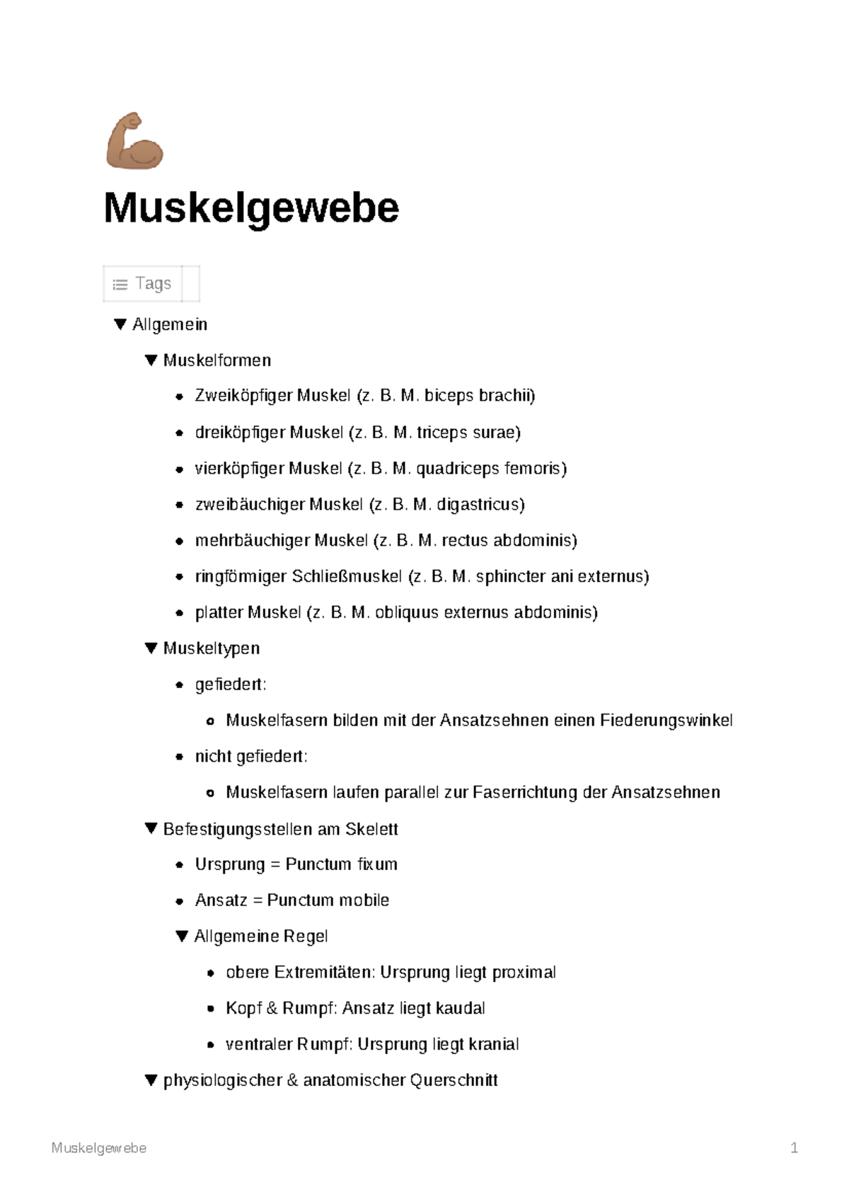 Histologie Muskelgewebe - Muskelgewebe Tags Allgemein Muskelformen ...