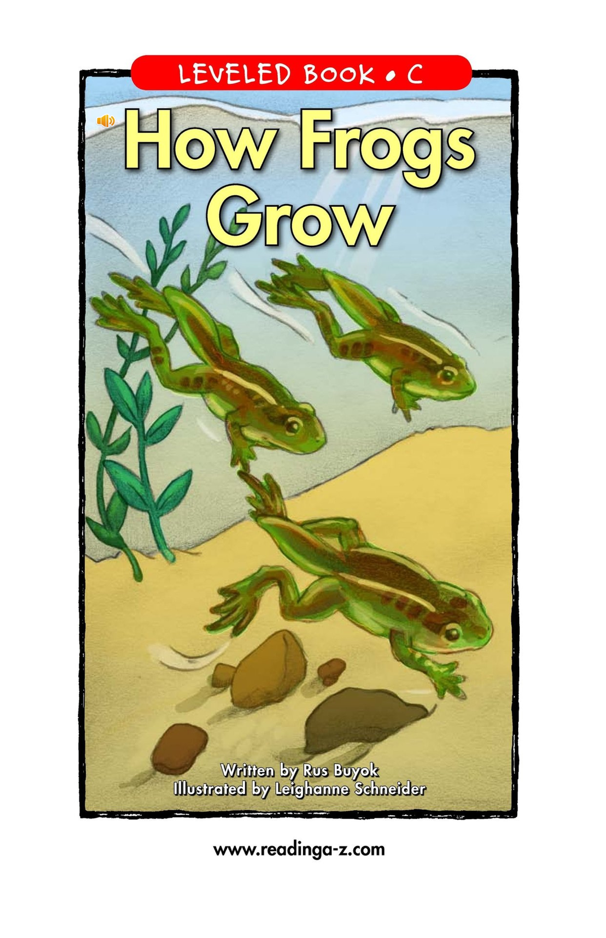 How Frogs Grow - asdfsdfaaaaaaaaaaaaaaaaa - LEVELED BOOK . C How Frogs ...