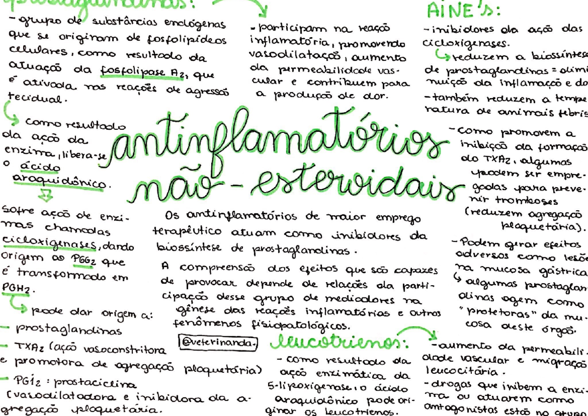 Aines coo agem - Resumo FARMACOLOGIA - Studocu